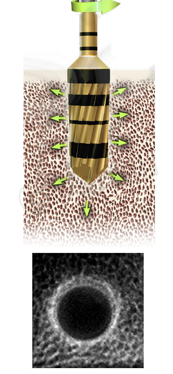 Megagen - Megagen site