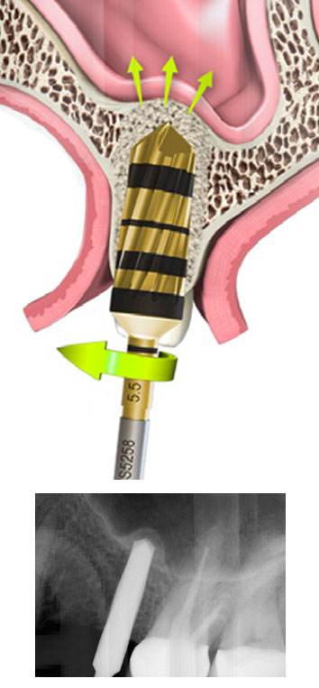 Megagen - Megagen site