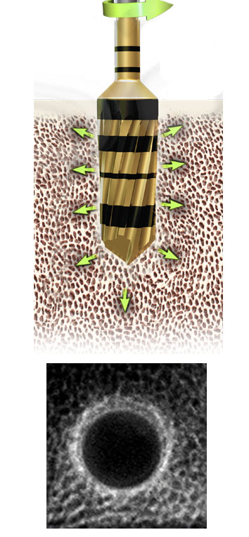 Megagen - Megagen site