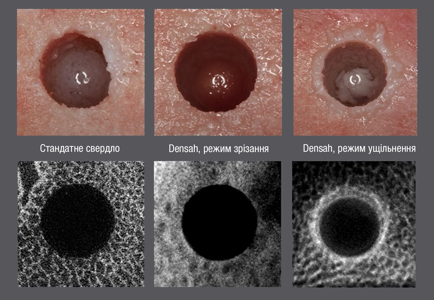 Megagen - Megagen site